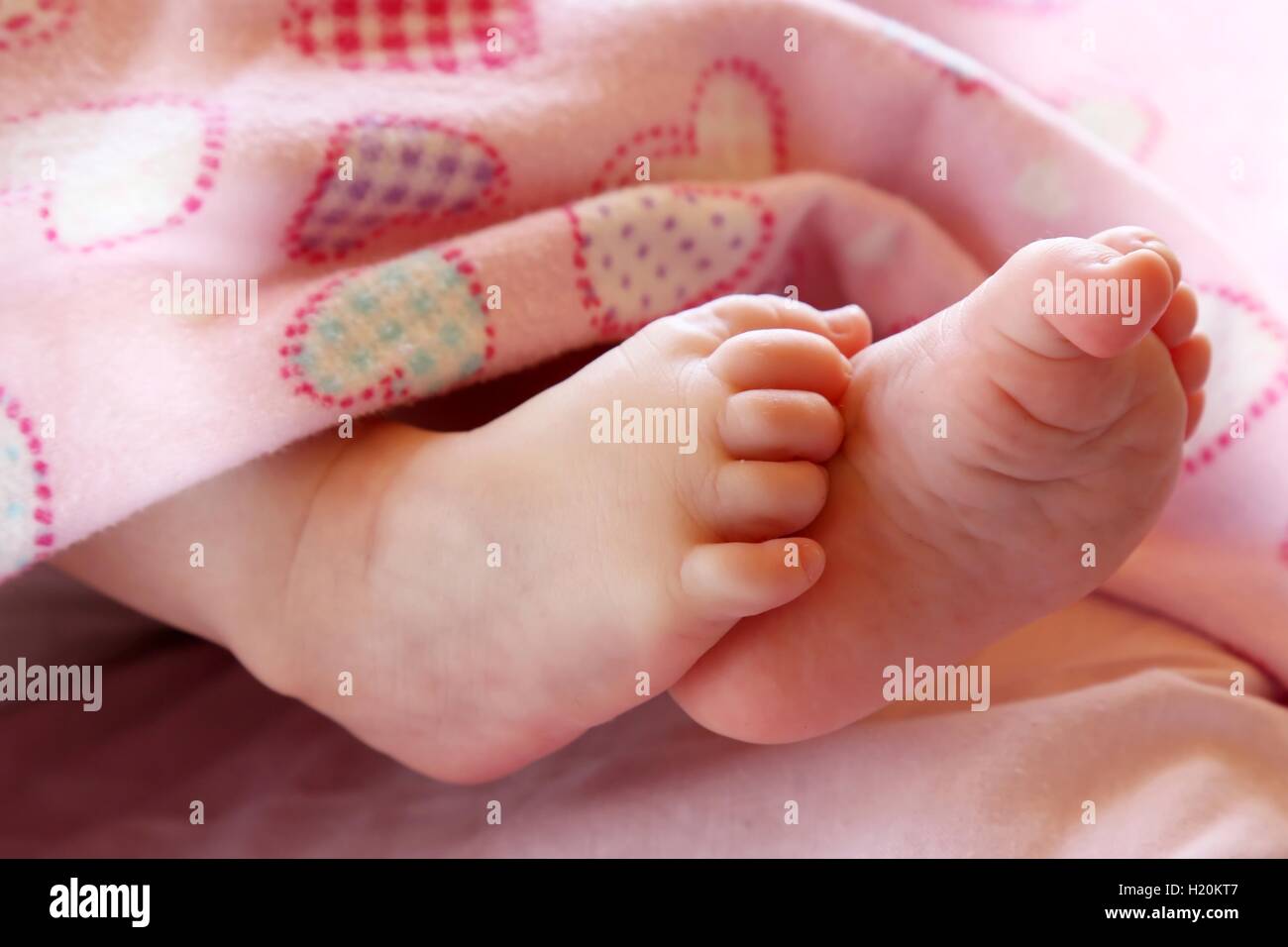 Baby's Cute Feet Stock Photo - Alamy
