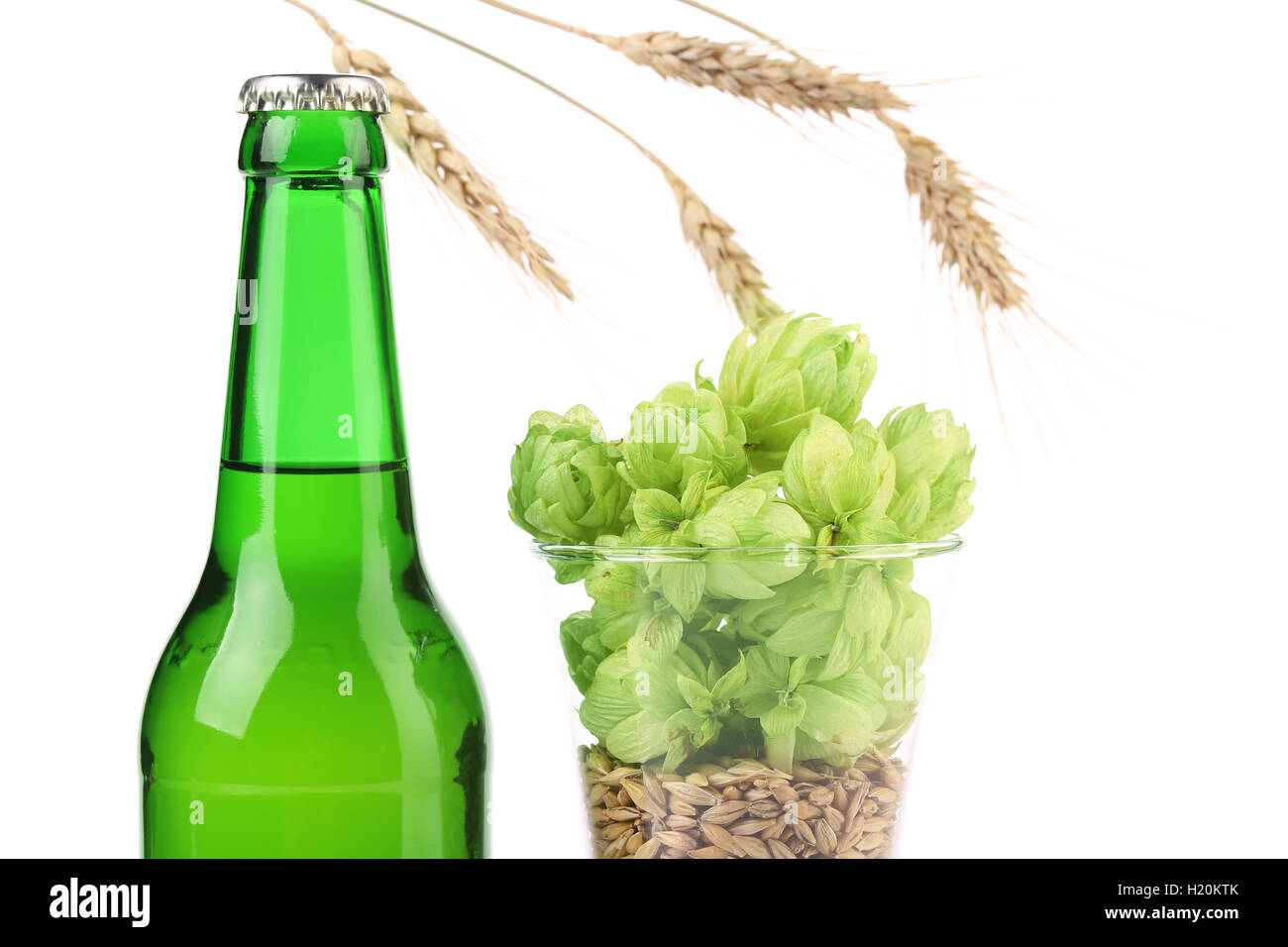 Composition of hop and barley Stock Photo - Alamy