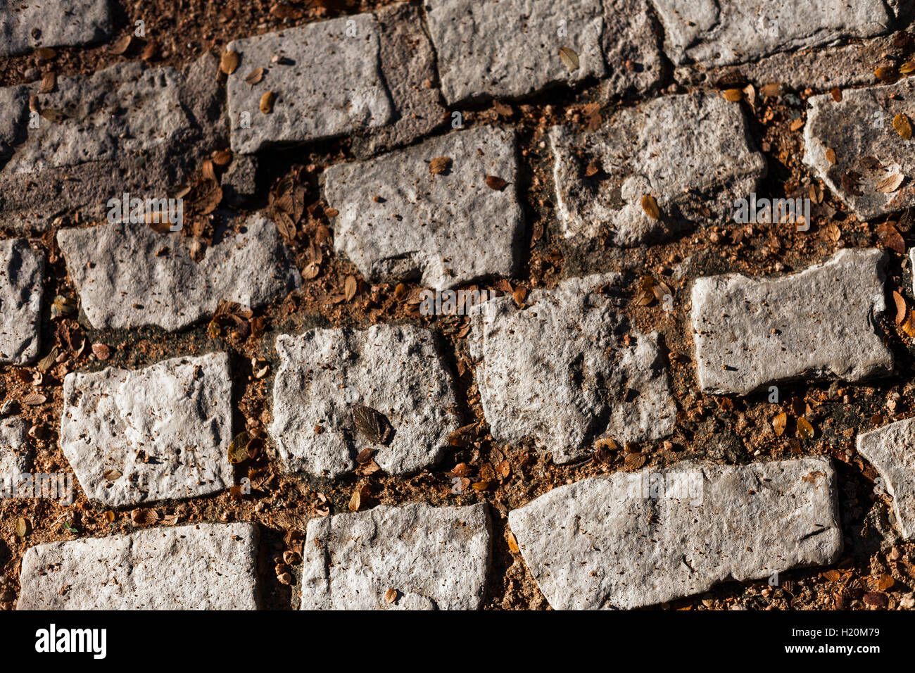 A cobblestone pathway in early morning sun Stock Photo - Alamy