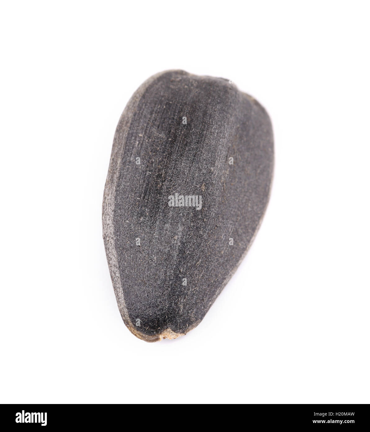 Sonflower seed hi-res stock photography and images - Alamy