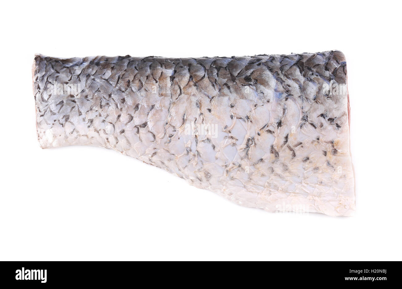 Fresh half of carp fillet Stock Photo - Alamy