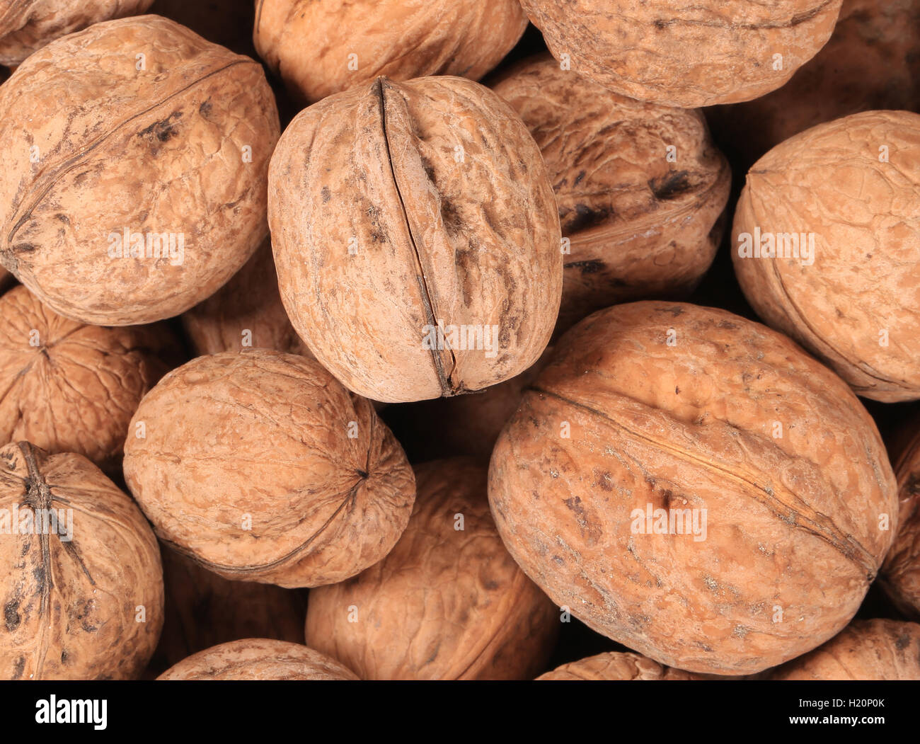 Bunch of walnuts whole. Close up Stock Photo - Alamy