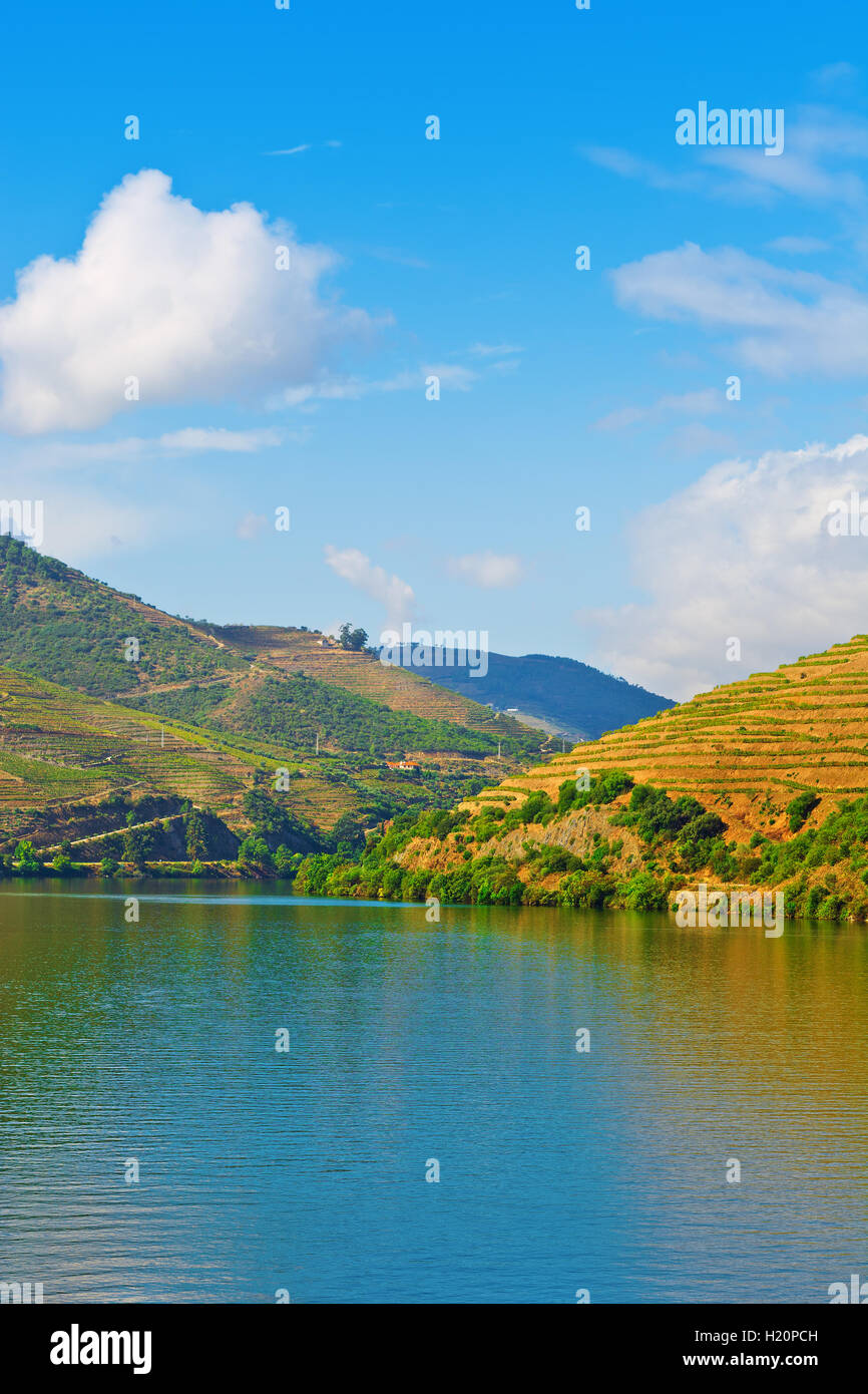 Douro valley line, portugal hi-res stock photography and images - Alamy
