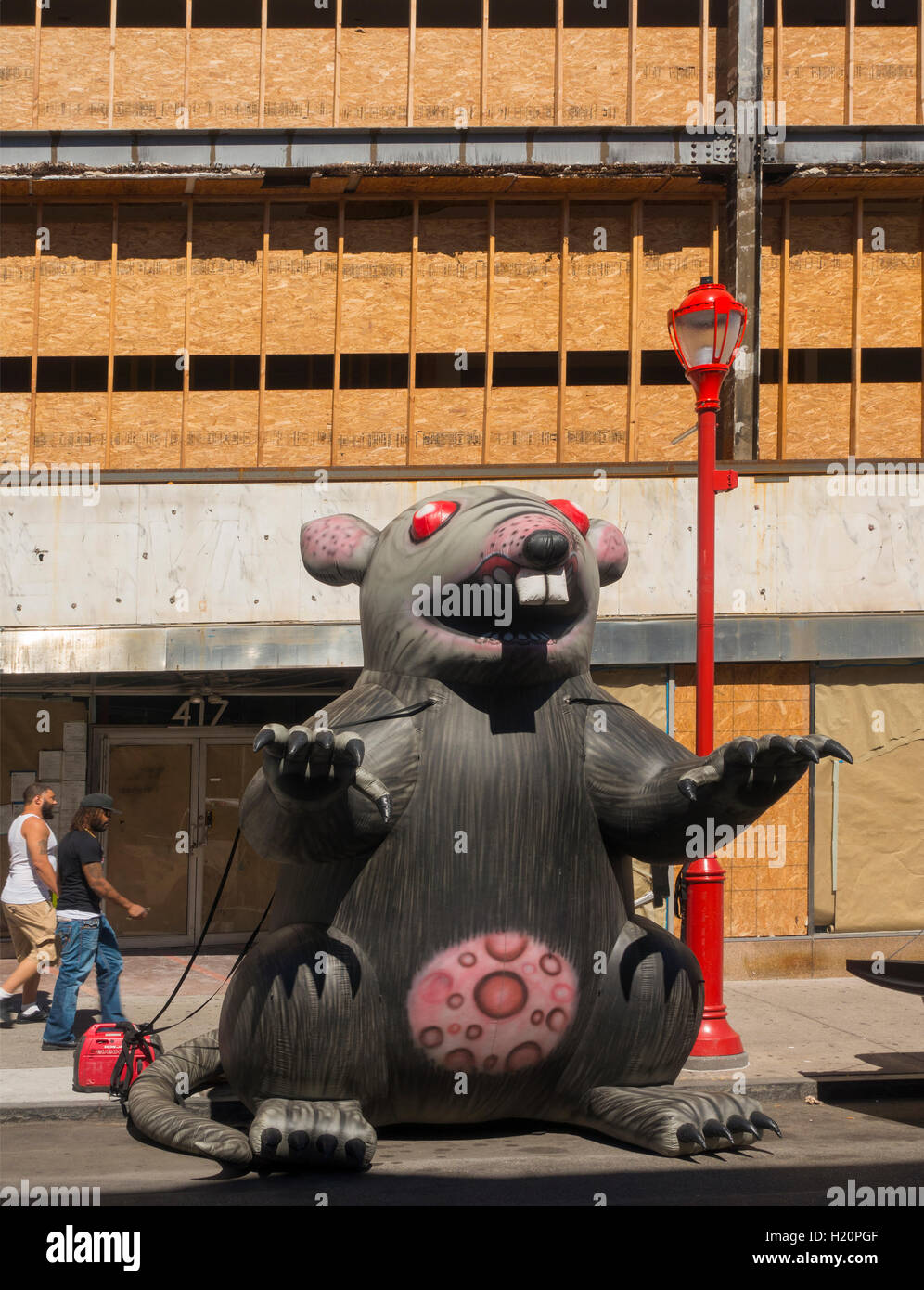 Union rat hi-res stock photography and images - Alamy