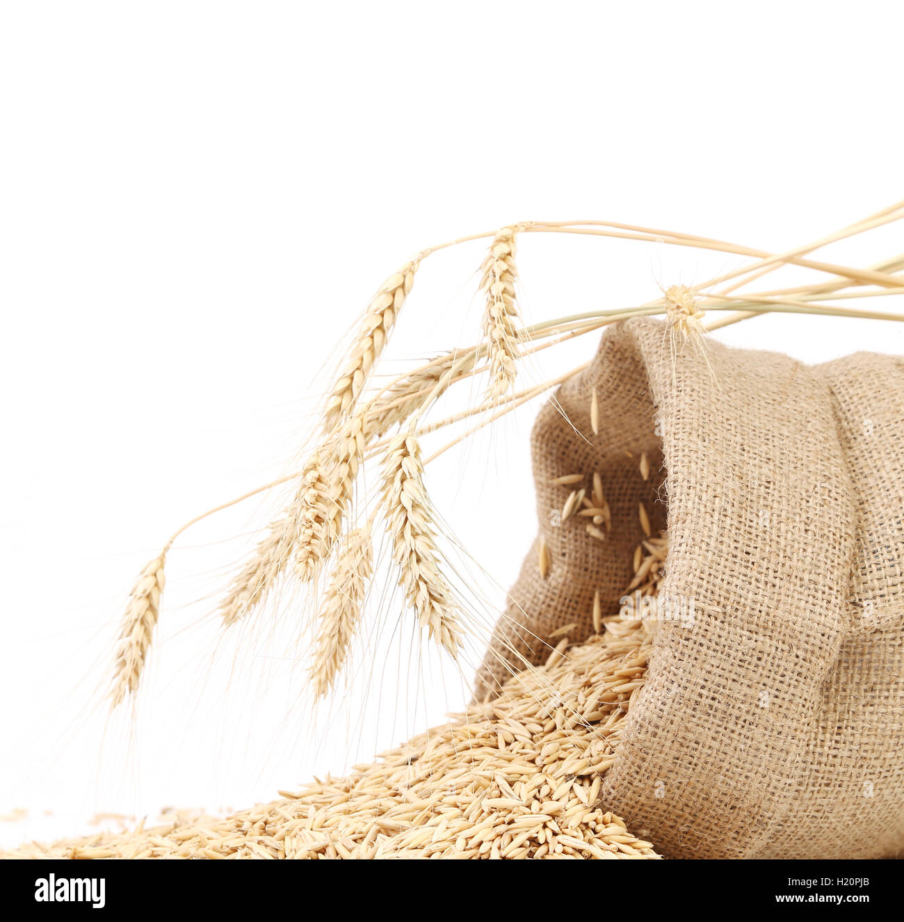 Hessian sack barley hi-res stock photography and images - Alamy
