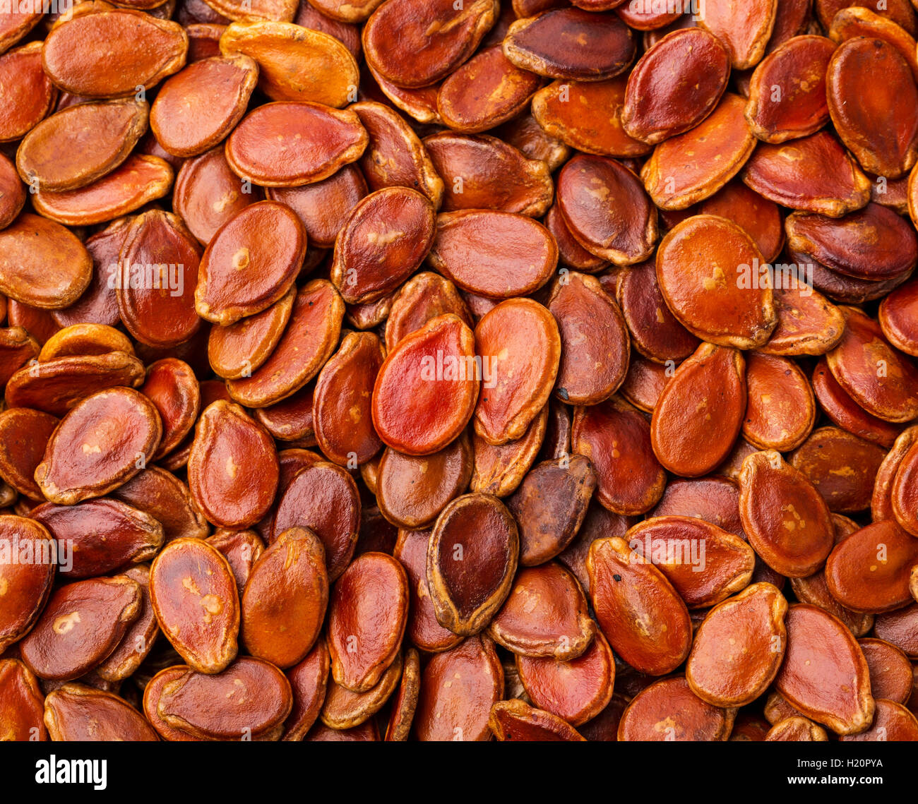 Red melon seed Stock Photo - Alamy