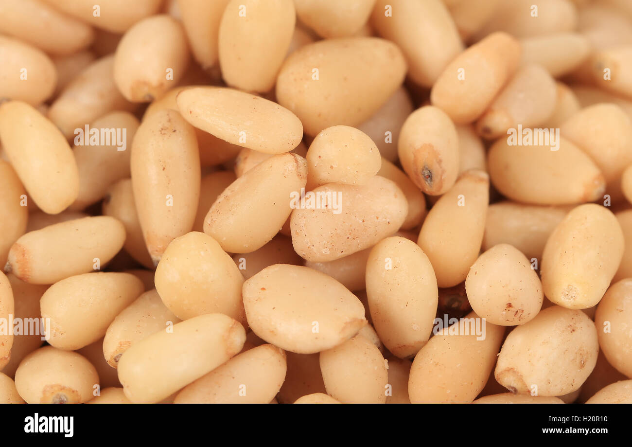 White pine nuts close up Stock Photo - Alamy