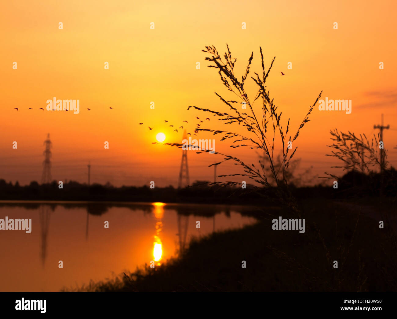 Sunset at the river Stock Photo - Alamy