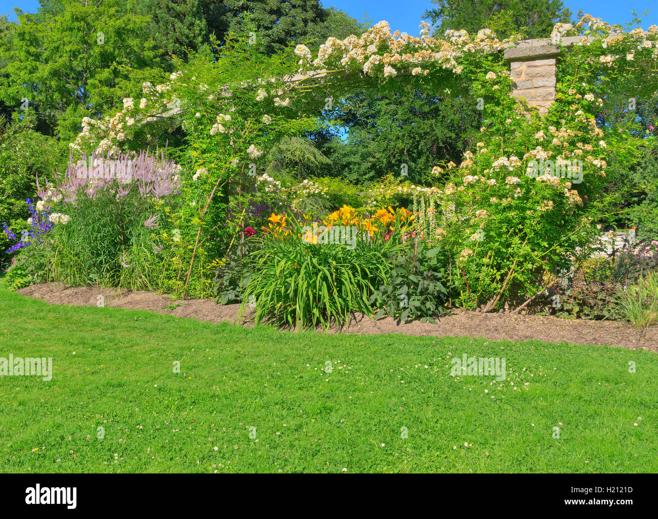 Sunny summer garden with green lawn Stock Photo - Alamy