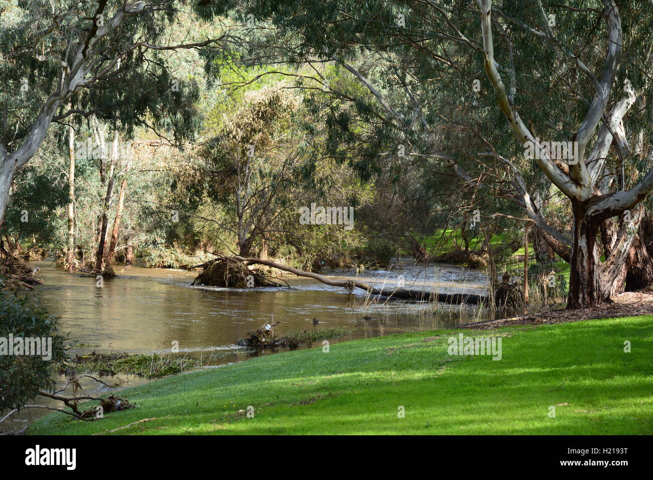 Idealic hi-res stock photography and images - Alamy