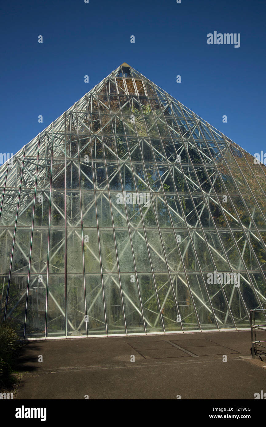 Pyramid Glass House which housed the tropical plant section Royal ...