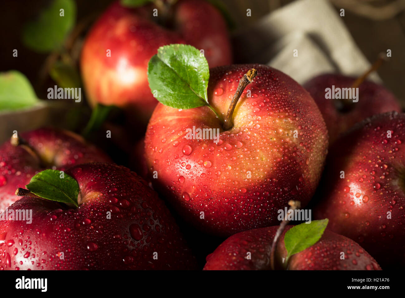 Raw Organic Red Delicious Apples Ready to Eat Stock Photo - Alamy