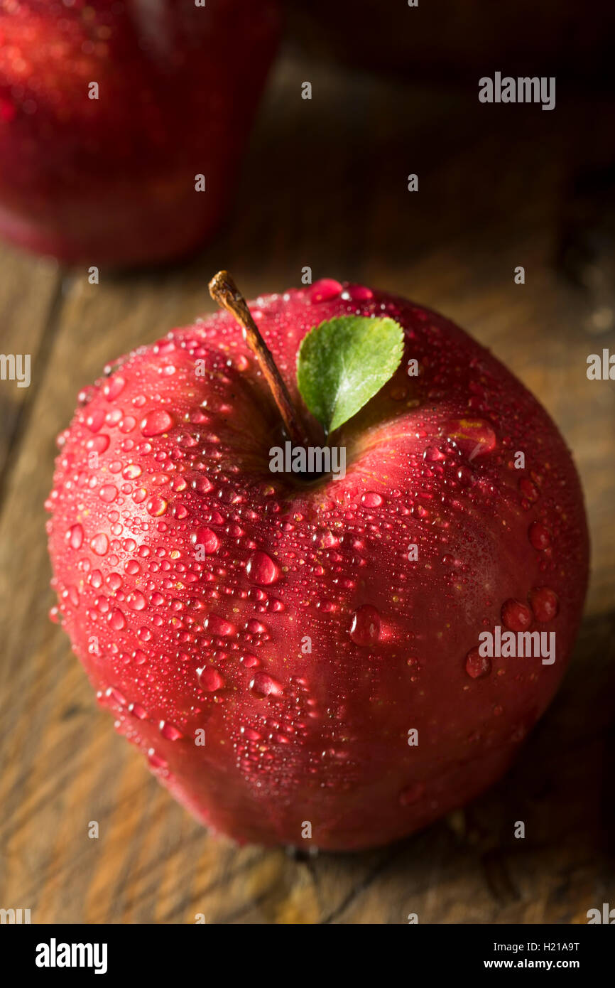 Raw Organic Red Delicious Apples Ready to Eat Stock Photo - Alamy