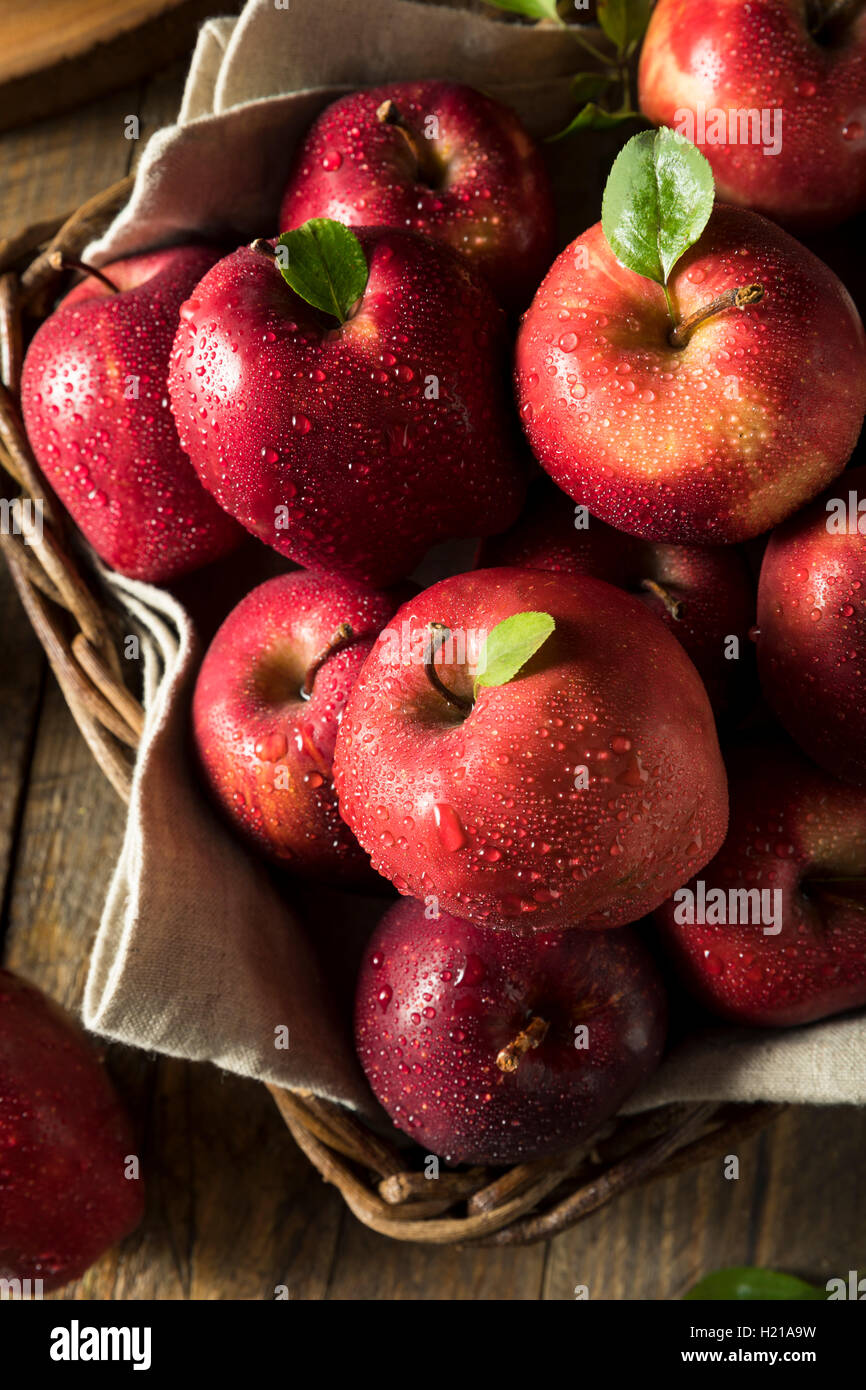 Raw Organic Red Delicious Apples Ready to Eat Stock Photo - Alamy