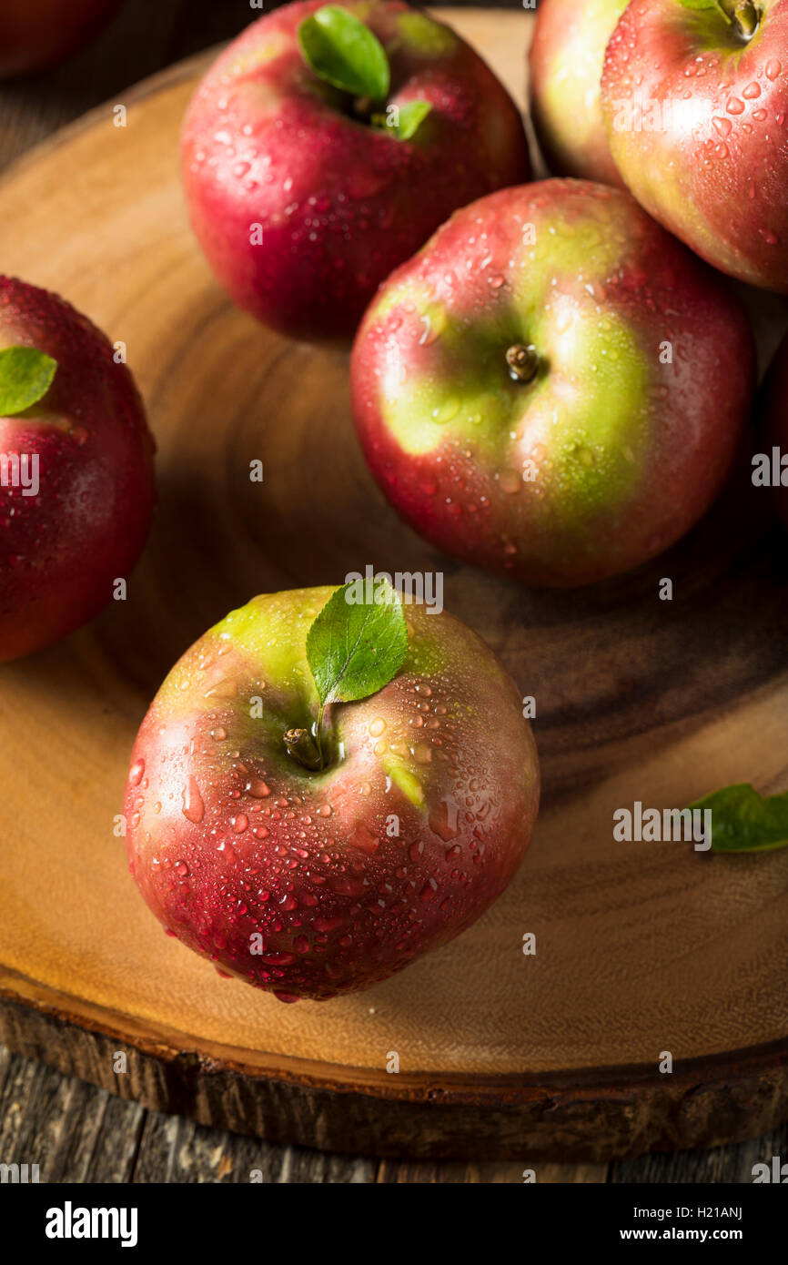Mcintosh hi-res stock photography and images - Alamy