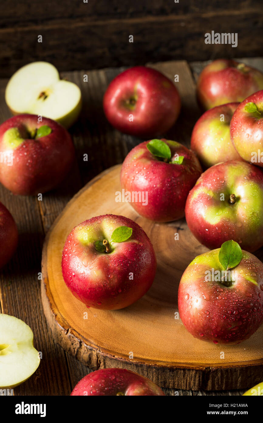 Shiny red mcintosh hi-res stock photography and images - Alamy
