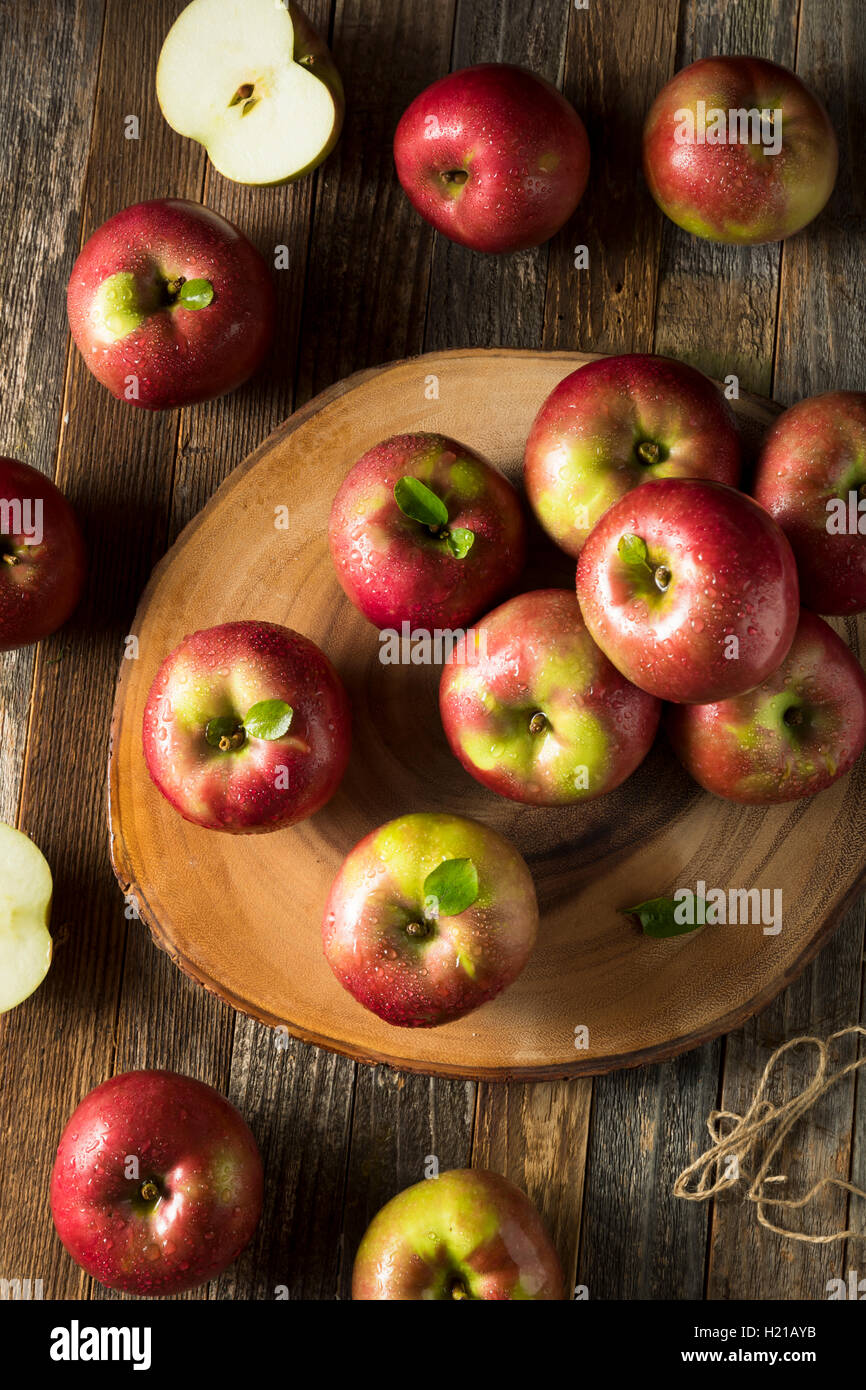 Shiny red mcintosh hi-res stock photography and images - Alamy