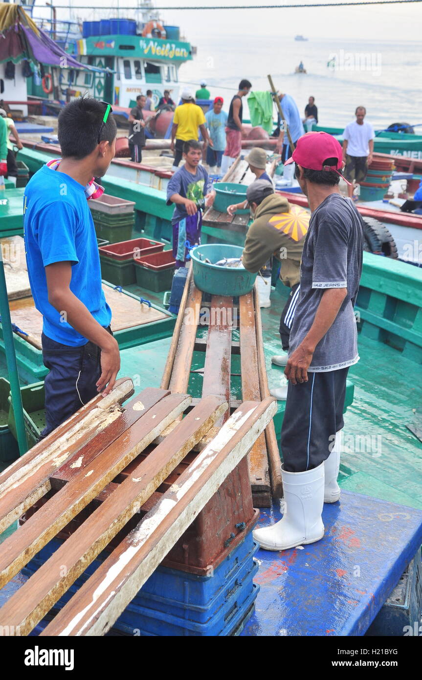 Workers loading fresh fish hi-res stock photography and images - Alamy