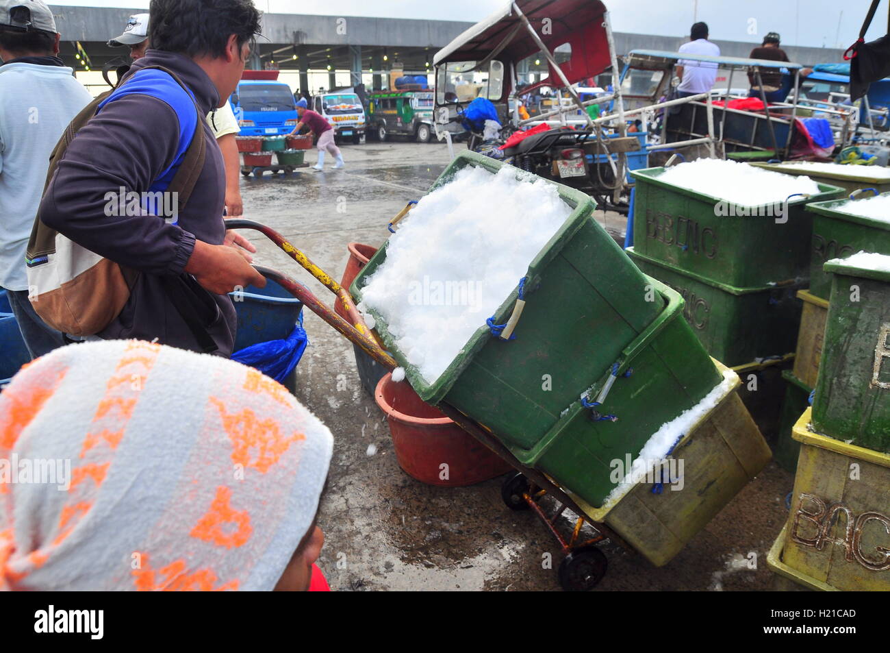 Ice factory workers hi-res stock photography and images - Alamy