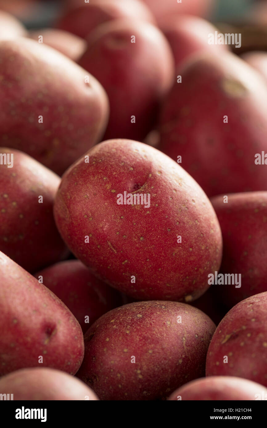 ‘all red’ potato hi-res stock photography and images - Alamy