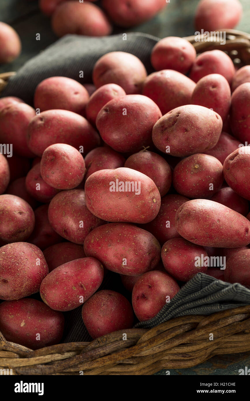 Potatoes hi-res stock photography and images - Alamy