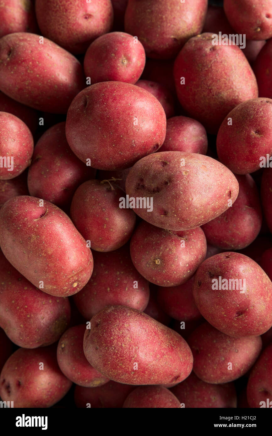 Red potato farm hi-res stock photography and images - Alamy