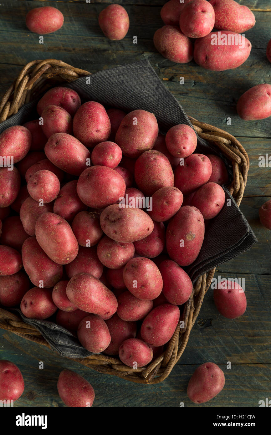 Raw Organic Red Potatoes Ready for Cooking Stock Photo - Alamy