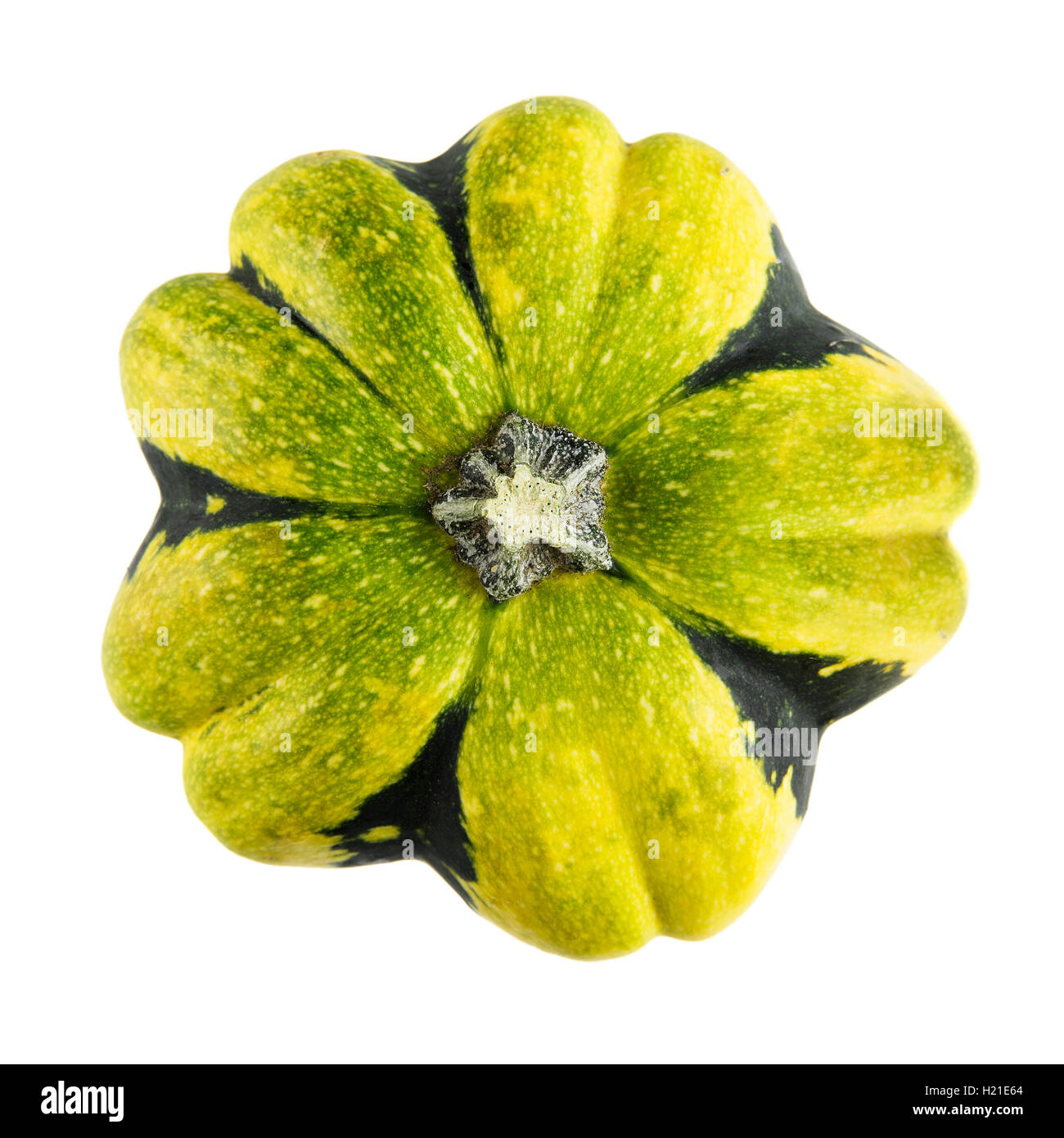 Autumn gourd viewed from above and isolated on a white background Stock ...