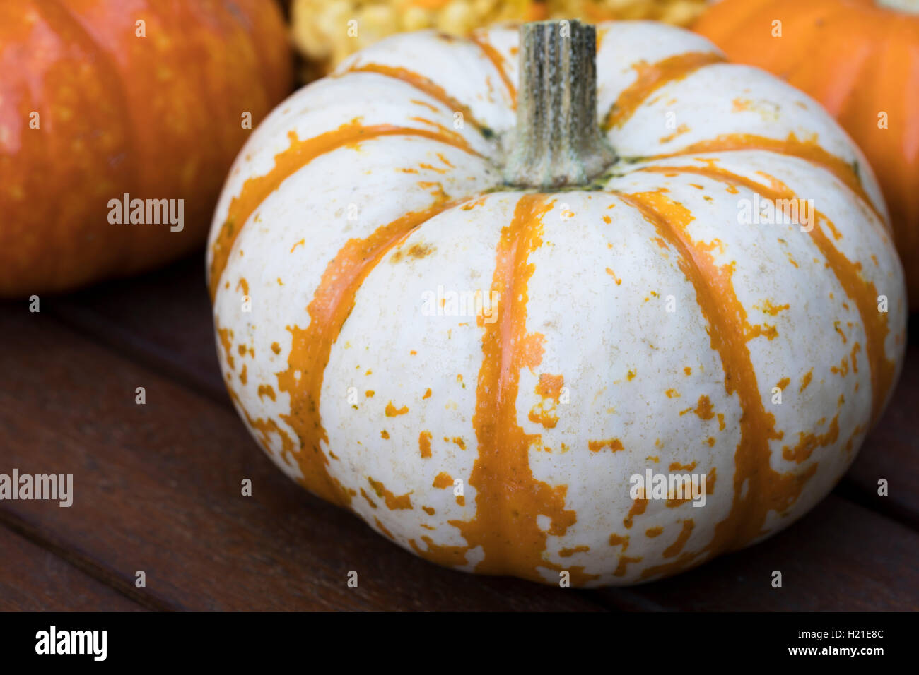 White striped gourds hi-res stock photography and images - Alamy