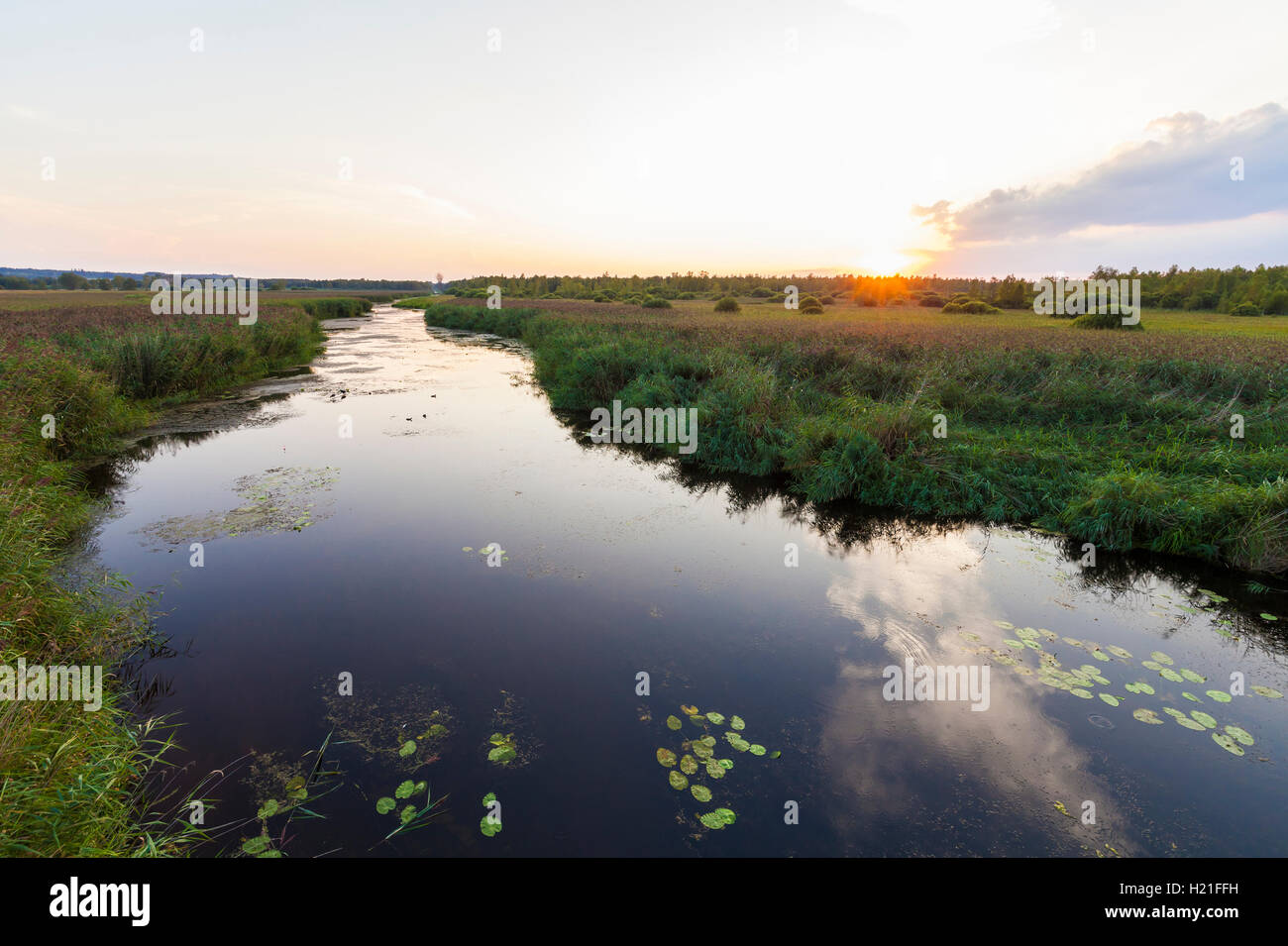 Germany, Bad Buchau, Lake Feder in the morning Stock Photo - Alamy