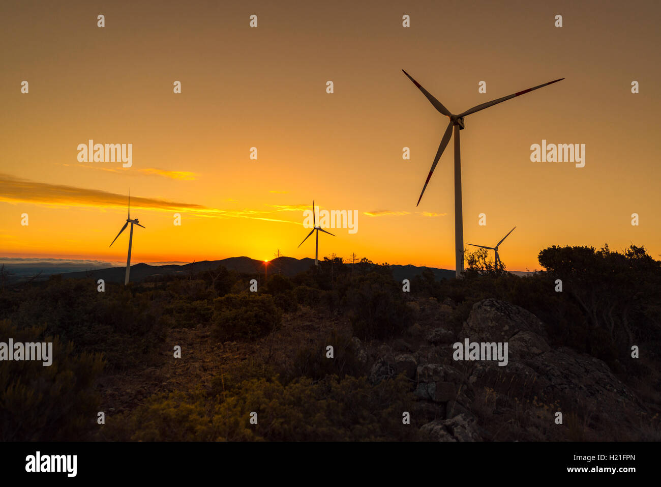 Wind turbines on a hill at sunrise Stock Photo - Alamy