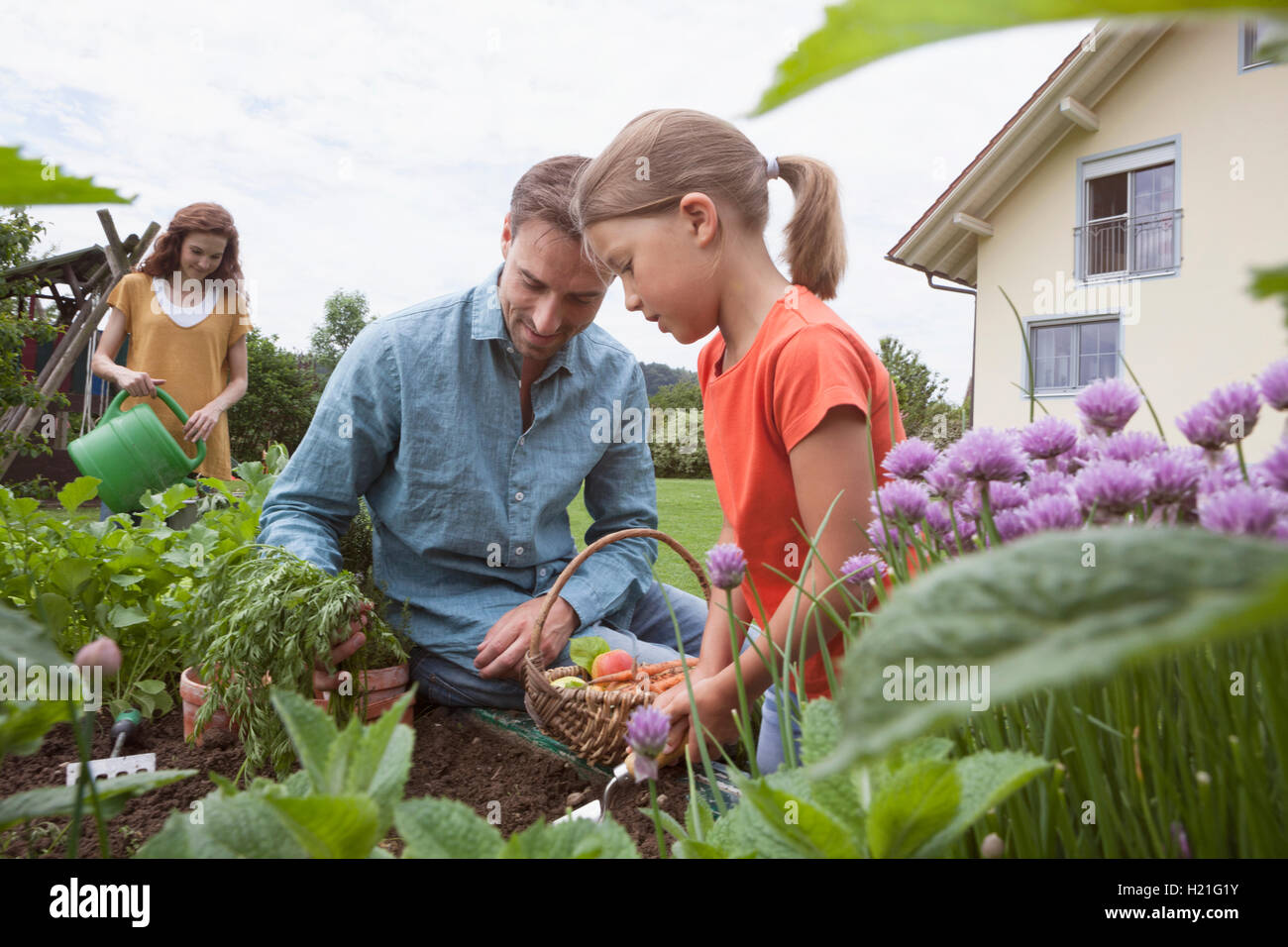 Father and daughter gardening together Stock Photo - Alamy