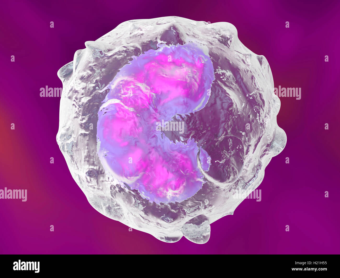 Monocyte hi-res stock photography and images - Alamy