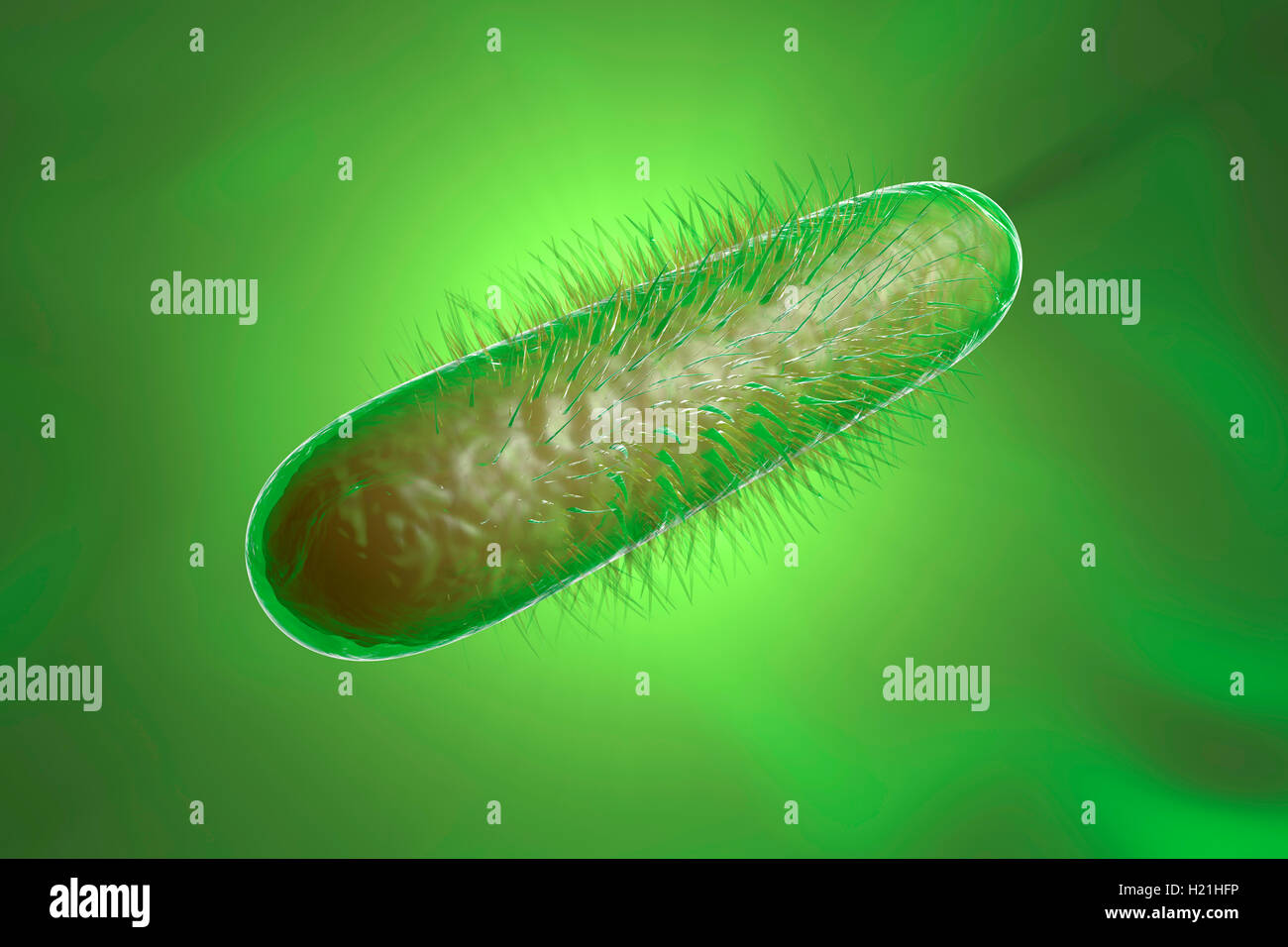 3d bacteria hi-res stock photography and images - Alamy