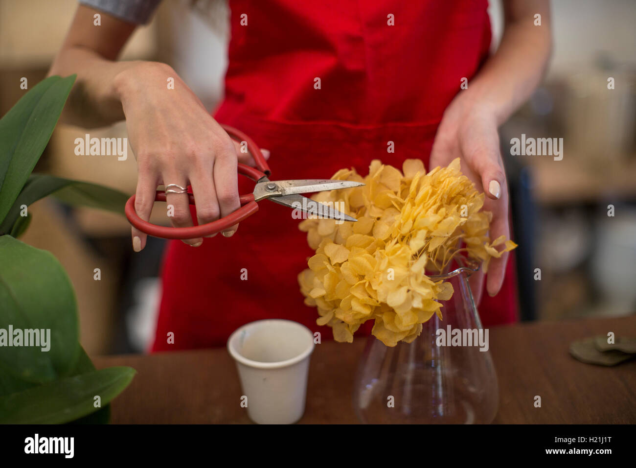 Florist cutting yellow flowers Stock Photo - Alamy