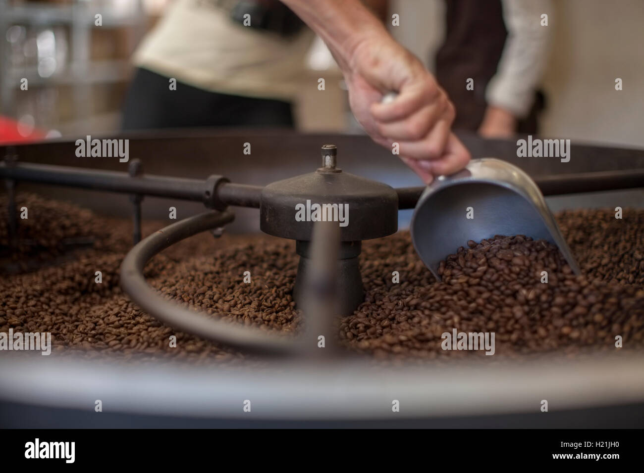 Rasted coffee beans in cooling cylinder Stock Photo - Alamy