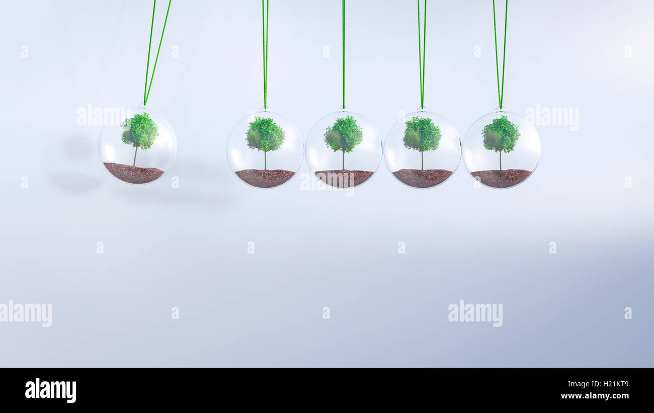 Newtons cradle trees hi-res stock photography and images - Alamy