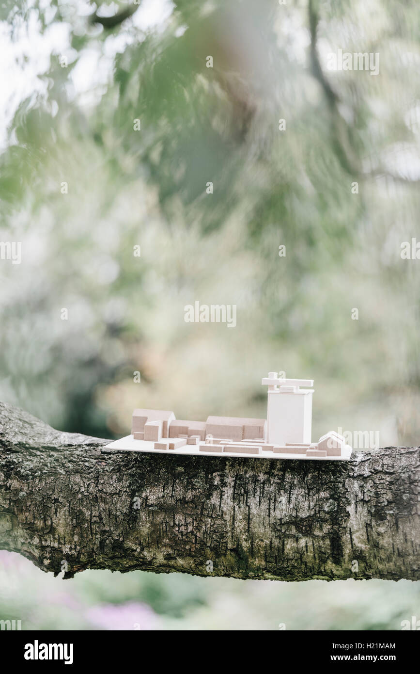 Architectural model on a branch Stock Photo - Alamy