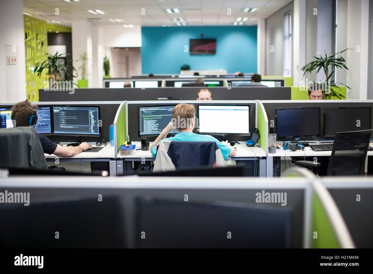 Staff working on computers in office cubicles Stock Photo - Alamy