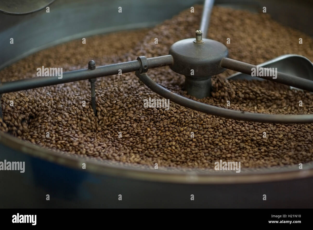 Roasted coffee beans in cooling cylinder Stock Photo - Alamy