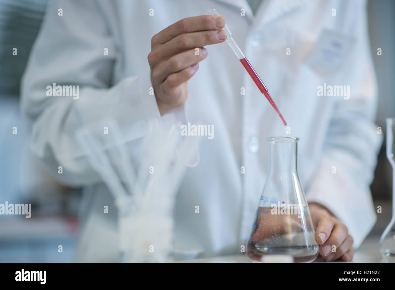 Scientist in lab pipetting into Erlenmeyer flask Stock Photo - Alamy
