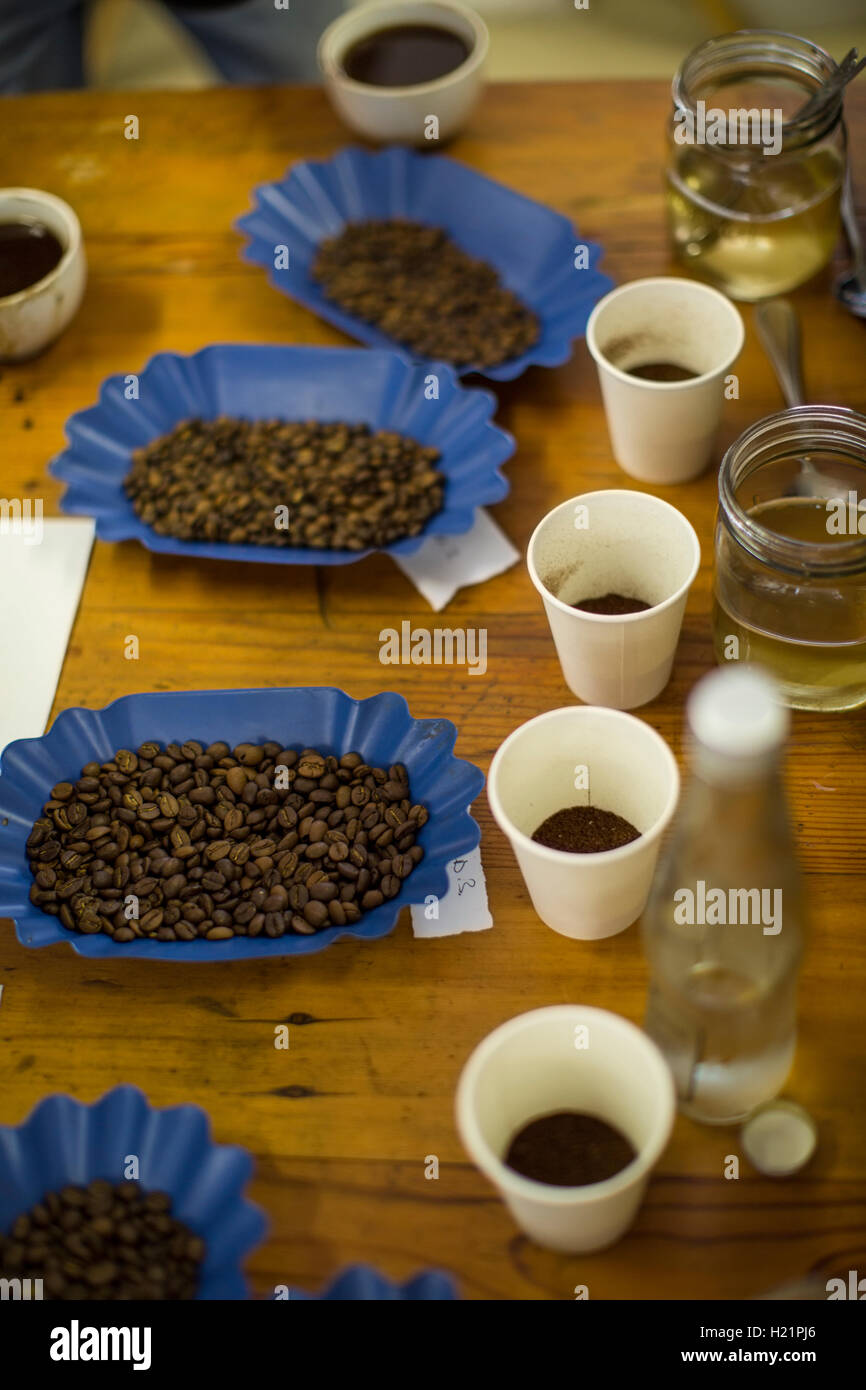 Row coffee bean hi-res stock photography and images - Alamy