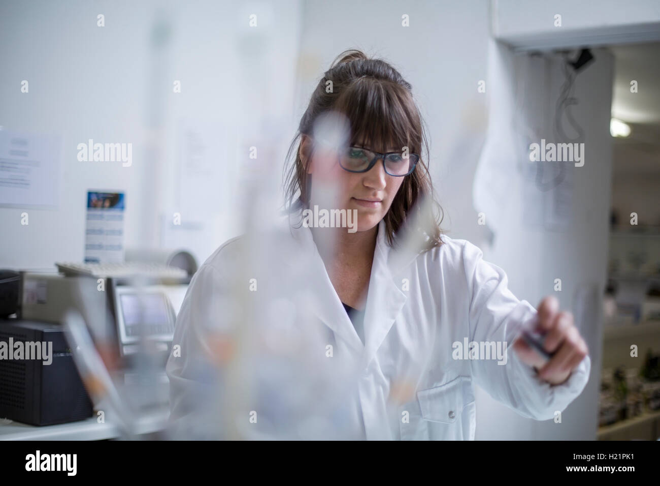 Young woman working in lab Stock Photo - Alamy