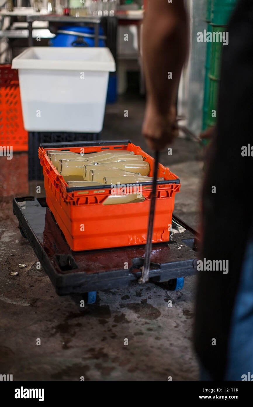 Man pushing crate of juice bottles in warehouse Stock Photo - Alamy