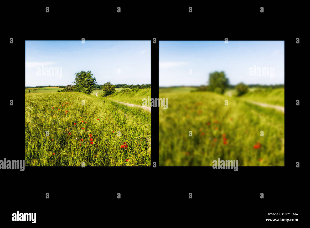 blurred-vision-hi-res-stock-photography-and-images-alamy