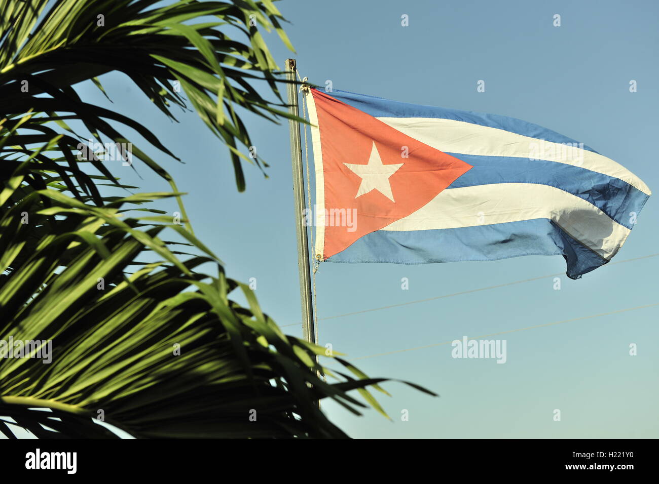 The Cuban flag Stock Photo - Alamy