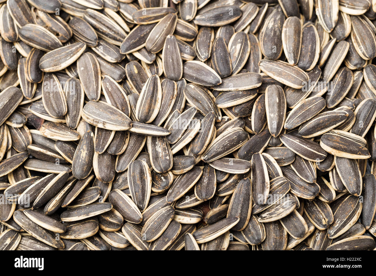 Pile of bird seed hi-res stock photography and images - Alamy