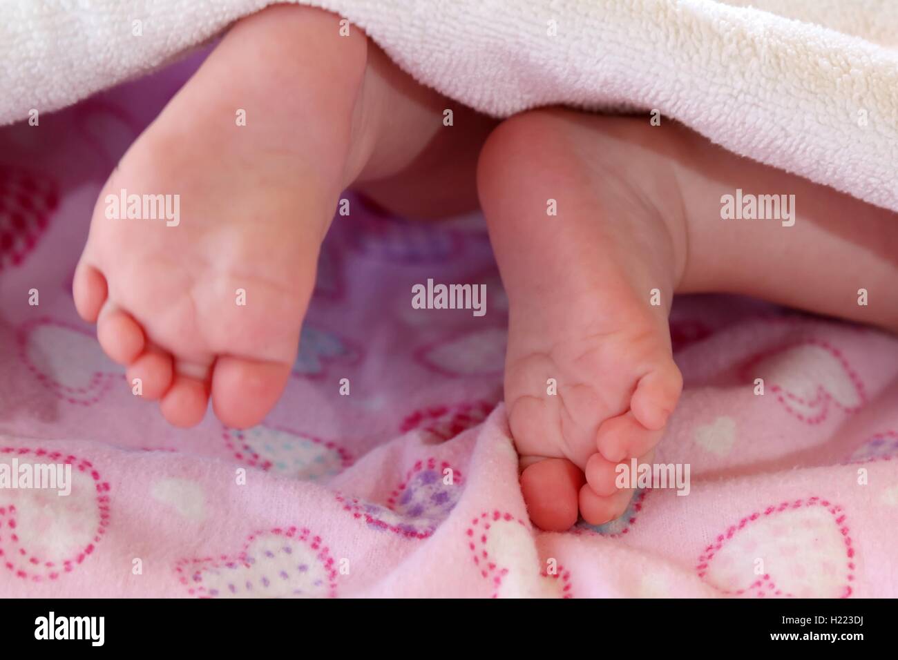 Baby's Cute Feet Stock Photo - Alamy
