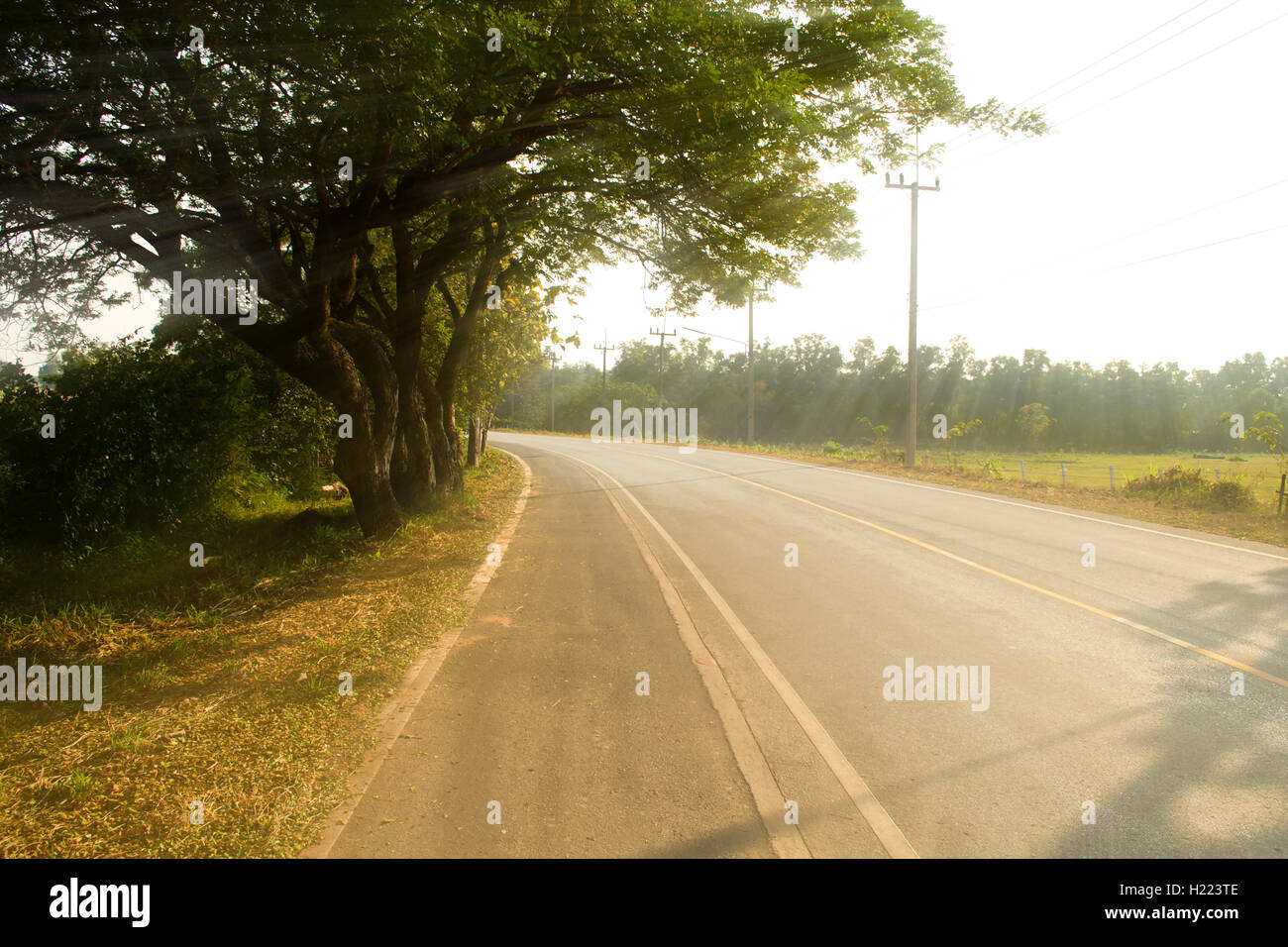 Tree line road hi-res stock photography and images - Alamy