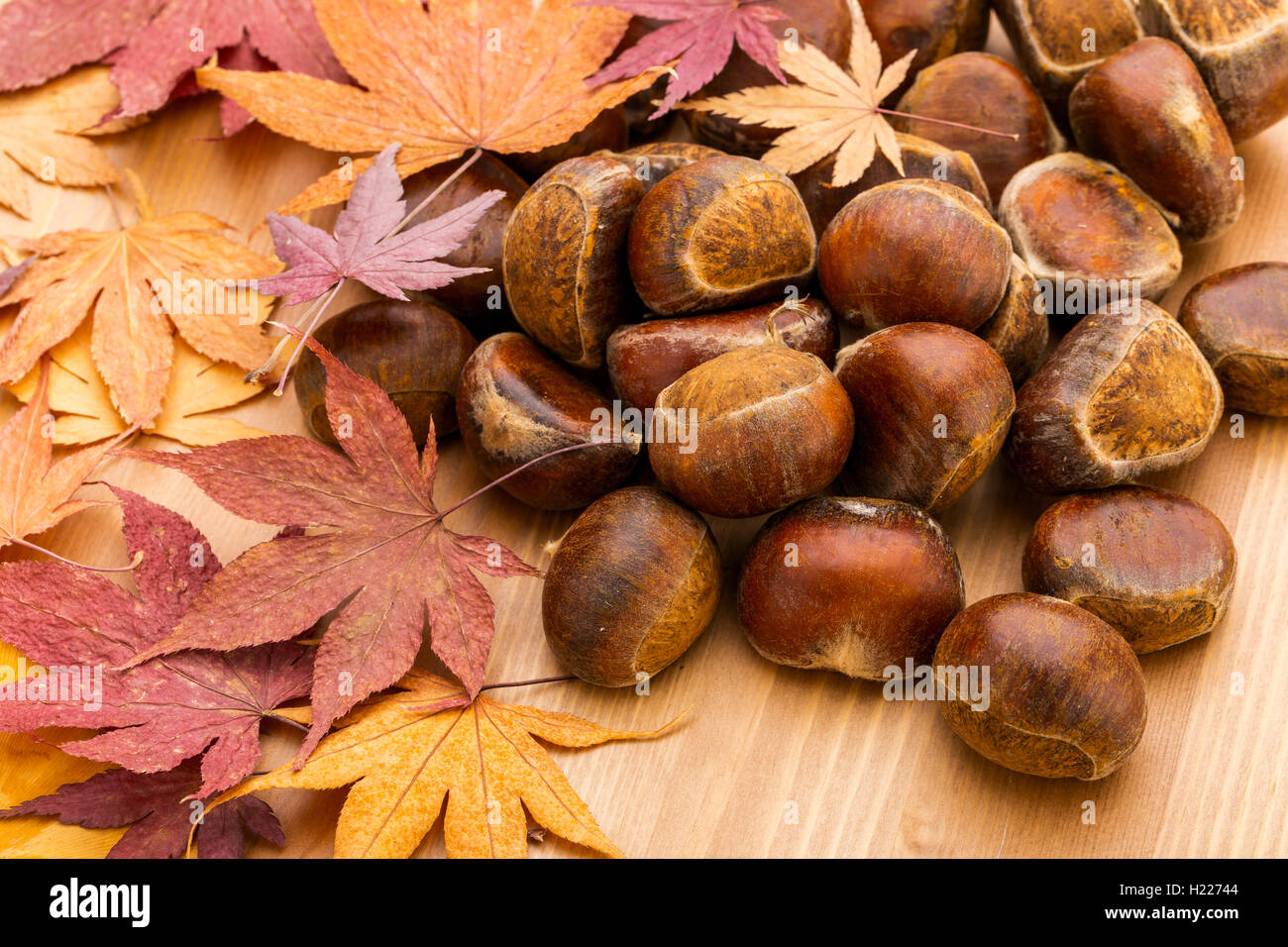 Chestnut and maple leave Stock Photo - Alamy